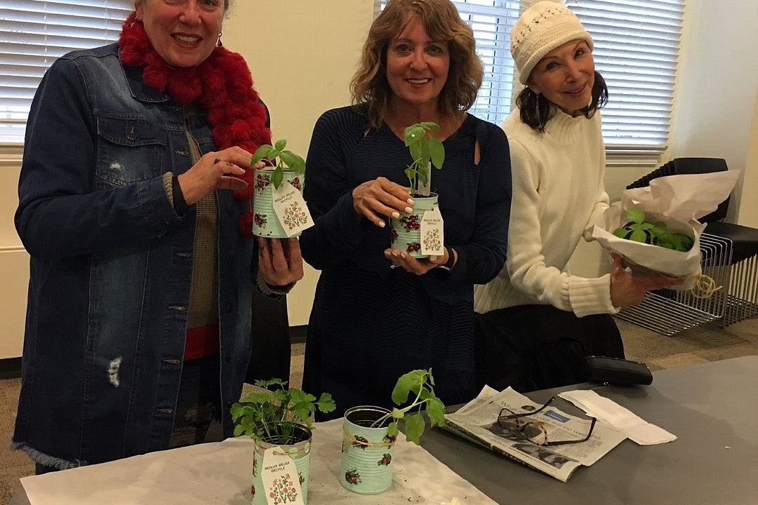 Tiny gardens pop up at Ventnor Library - DownBeach