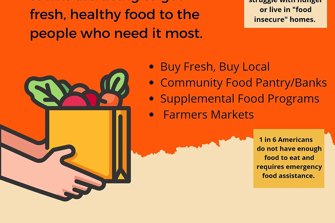 SJ green teams to share what they are doing to tackle food insecurity ...