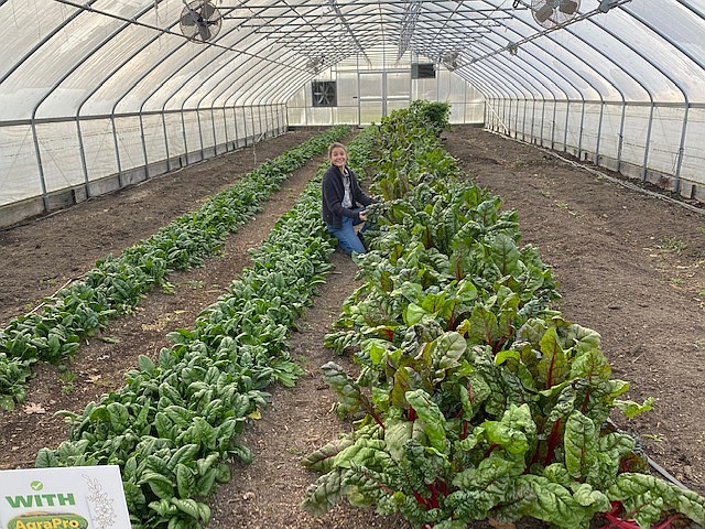 Reeds Farm site of Mini-Film Festival focusing on food justice - DownBeach