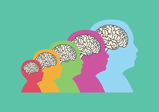 Neuroscience and Montessori Education: A Deep Dive into Early Brain ...