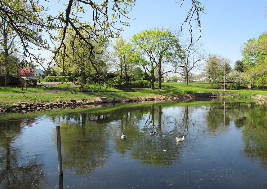 Quack-tastic: Daniel Roth Park in Harleysville Getting Tree Removal ...
