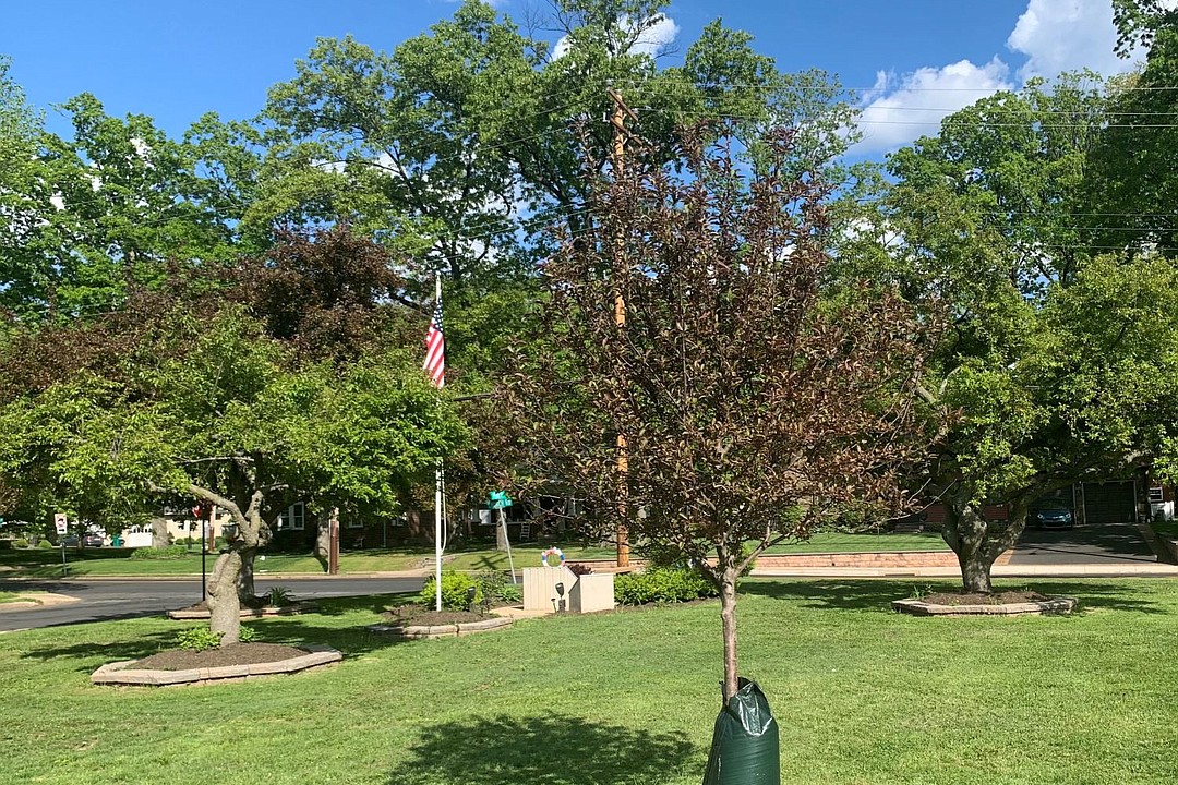 ESSAY: Remembering North Penn’s Fallen - North Penn Now