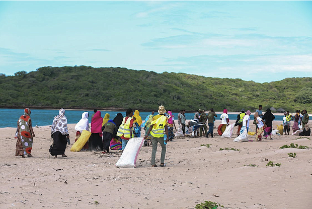 Planning a Beach Cleanup Event: A Guide for Ft. Lauderdale Visitors ...