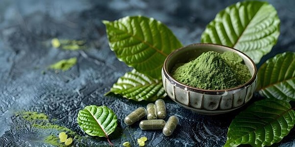 Red Borneo Kratom Guide: Features, Effects, Dosage, & More - SeaIsle News