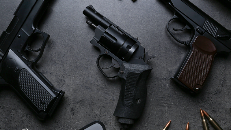 Start a Gun Store Online: Launch Your Firearms E-Commerce Business ...