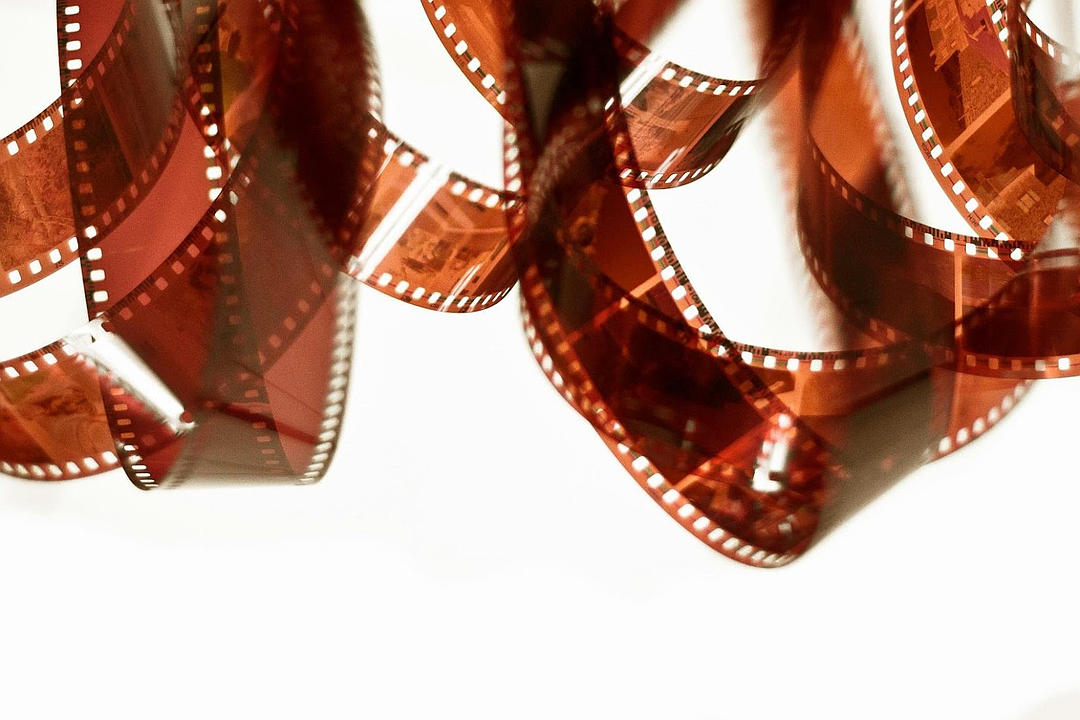 What You Should Know About Negative Scanning Negatives - OCNJ Daily