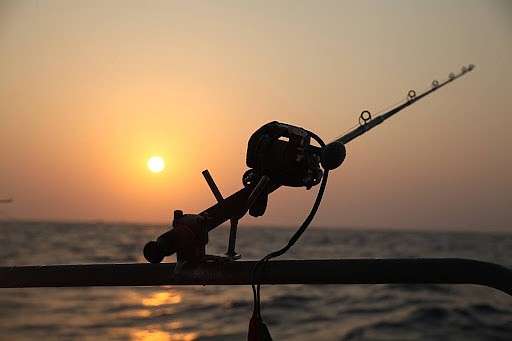 Ensure a Proper Fishing Experience by Following This Practical Guide ...