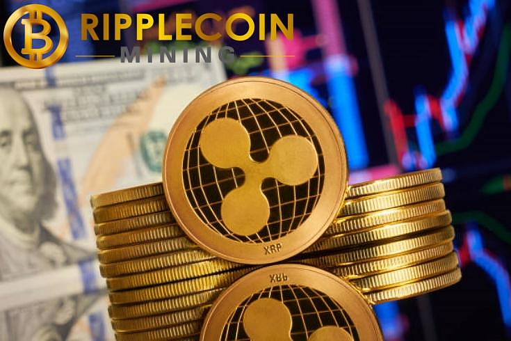 DOGE, XRP holders reveal secrets of making $27,570 in daily profits ...