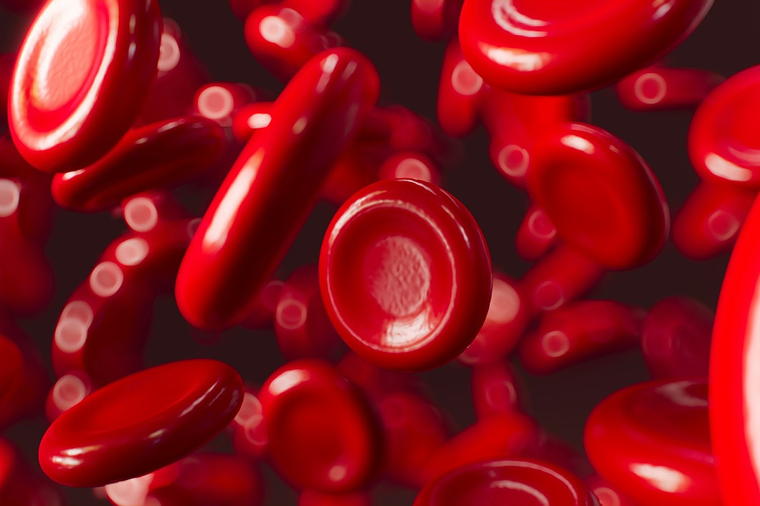 What Are Red Blood Cells? - North Penn Now