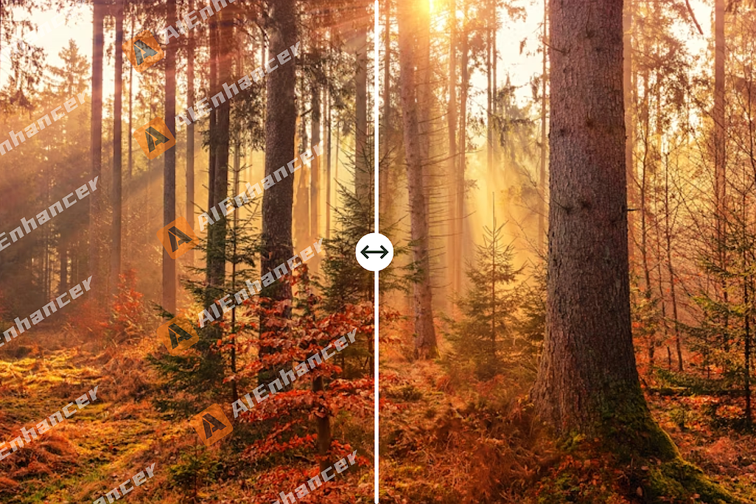 AIEnhancer: The Ultimate Tool to Remove Watermark from Your Images ...