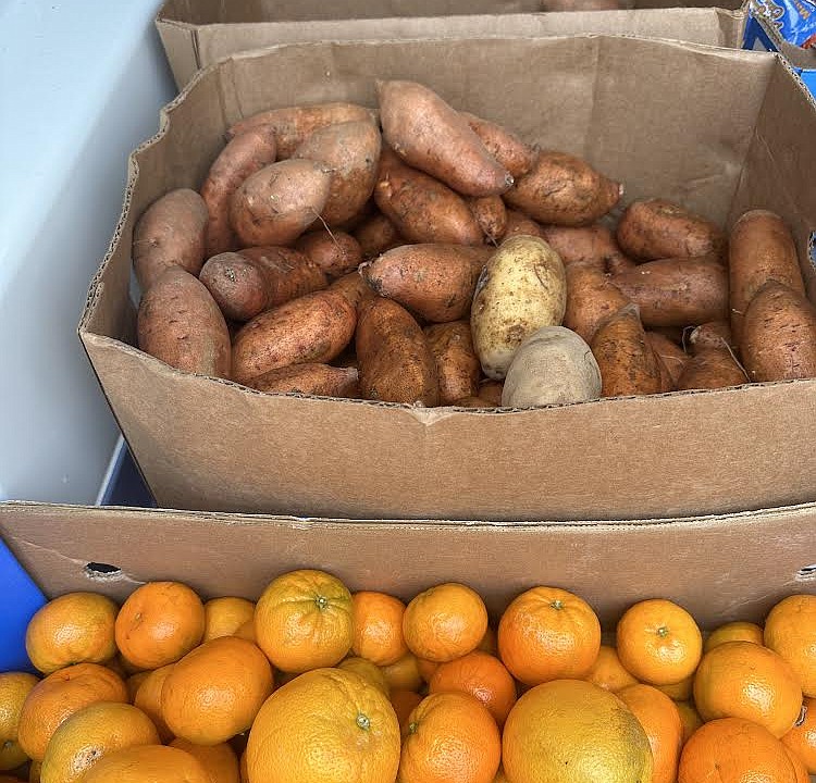 North Penn giving out free meals, fresh produce this summer - North ...