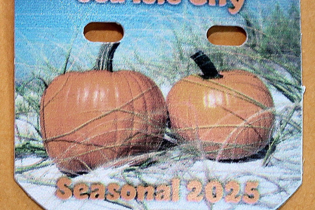 Sea Isle's autumn-themed beach tags go on sale starting Saturday ...