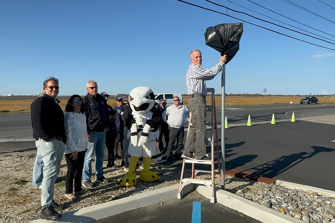 City dedicates Osprey Place in honor of the raptors who nest in the bay ...