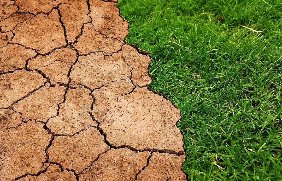NJ sets all-time record for longest period without rain - DownBeach