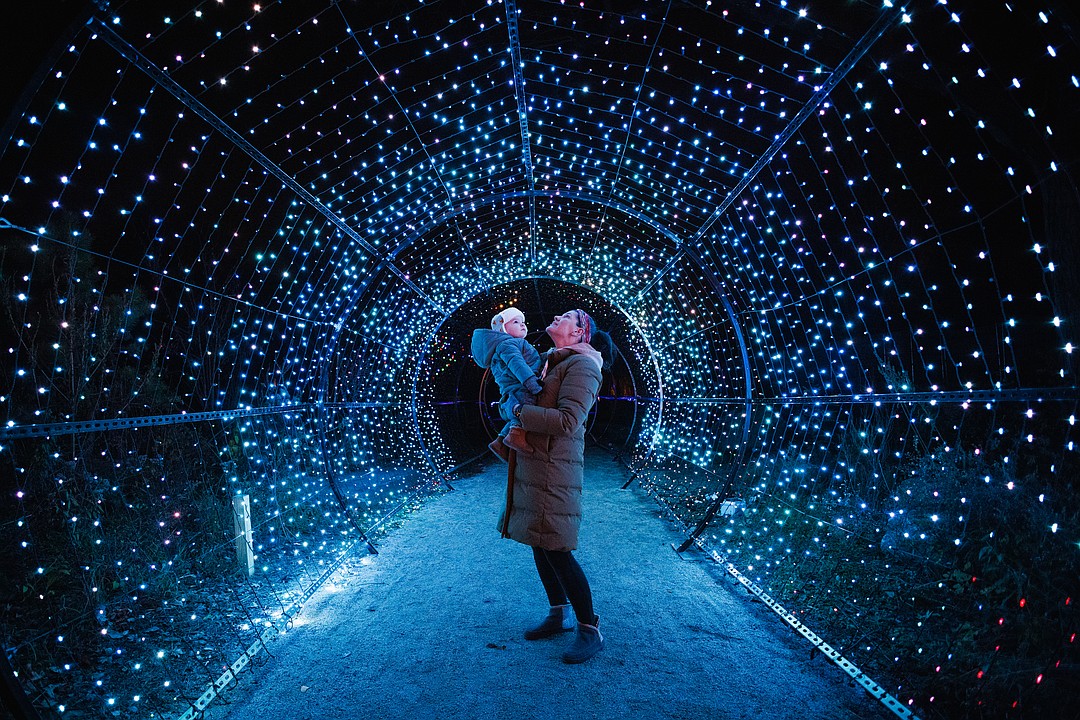 Discover LumiNature: Interactive holiday magic at the Philadelphia Zoo ...