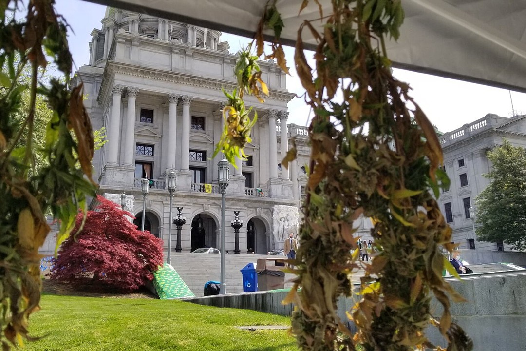 One question dogs PA cannabis debate: Should big businesses have a leg ...