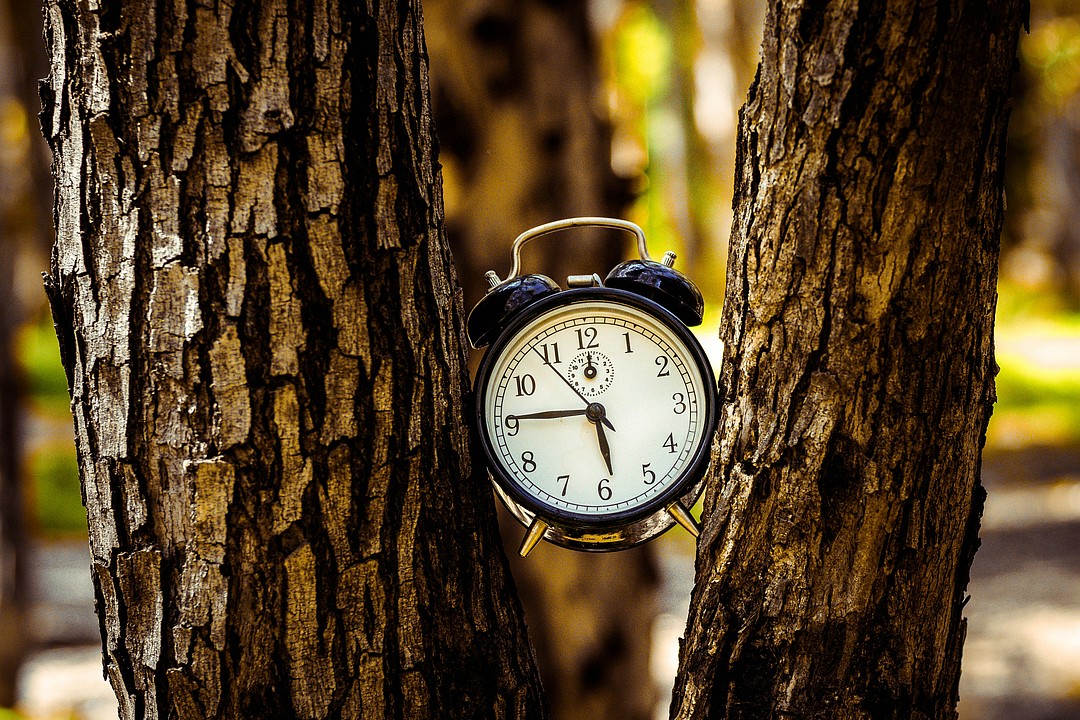 A tale as old as time: How one hour impacts the psyche far more than it ...