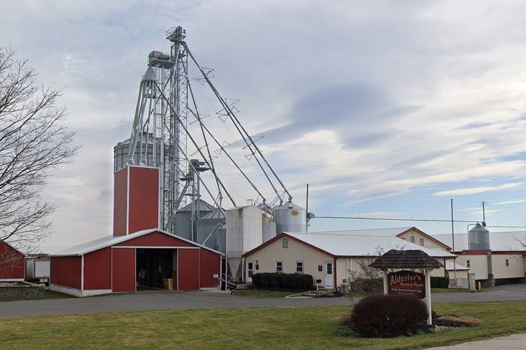 Cracking down on false labels: Franconia's Alderfer Farms settles egg ...