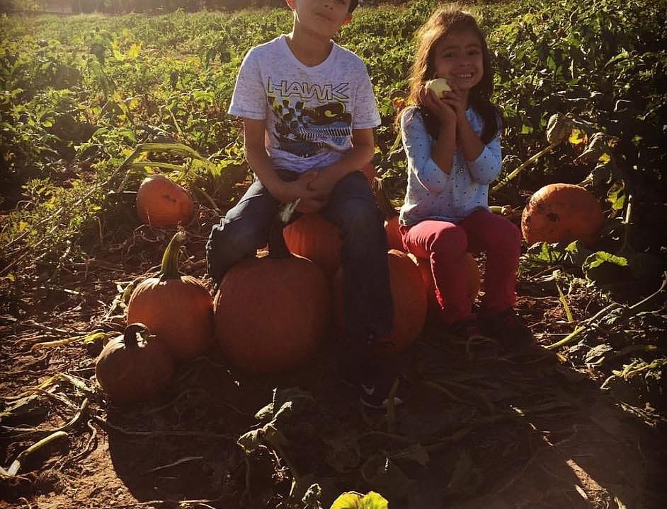 Winner announced for Freddy Hill Farms' 'Share Your Memories' contest ...