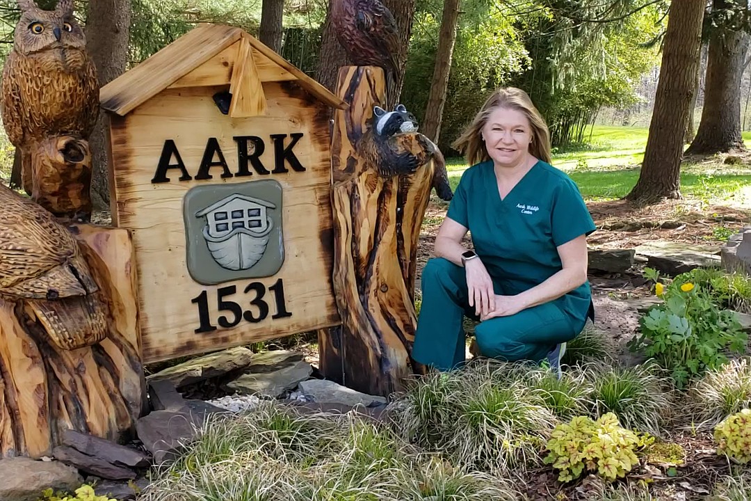 Good Citizens: Meet Leah Stallings, Aark Wildlife Rehabilitation and ...