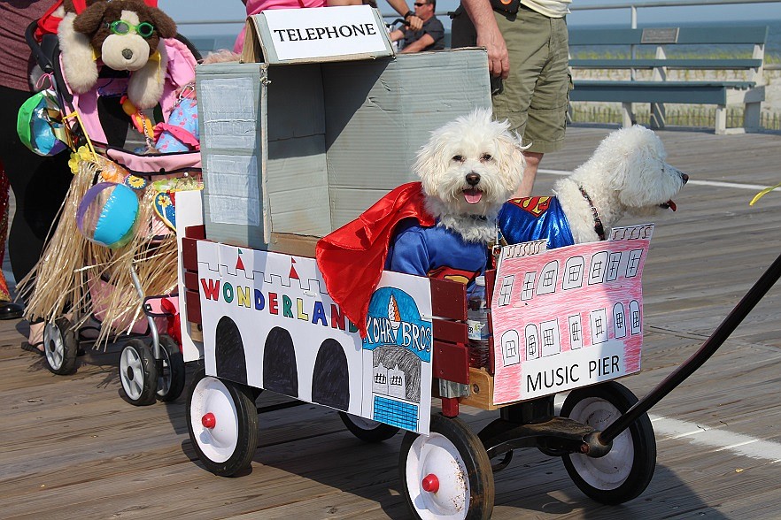 Show Us Your Paws Parade - Saturday June 10 At 4:45PM On The Boardwalk ...