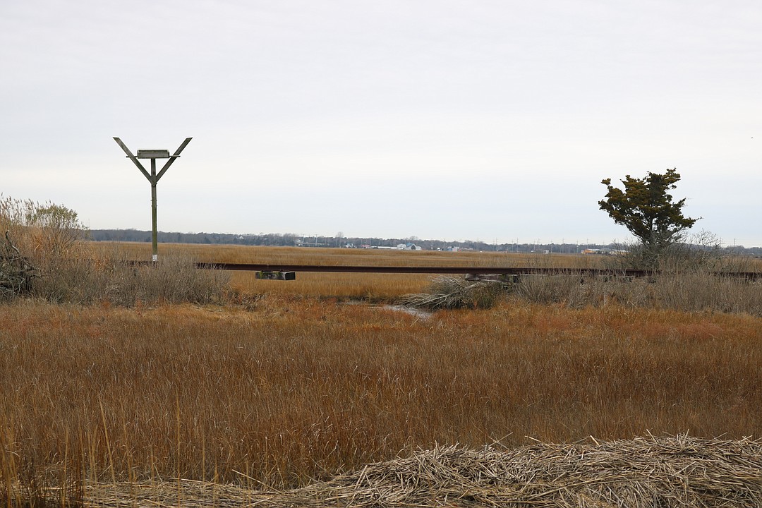 Ocean City's Old Railroad Embankment May Become Flood Barrier - OCNJ Daily