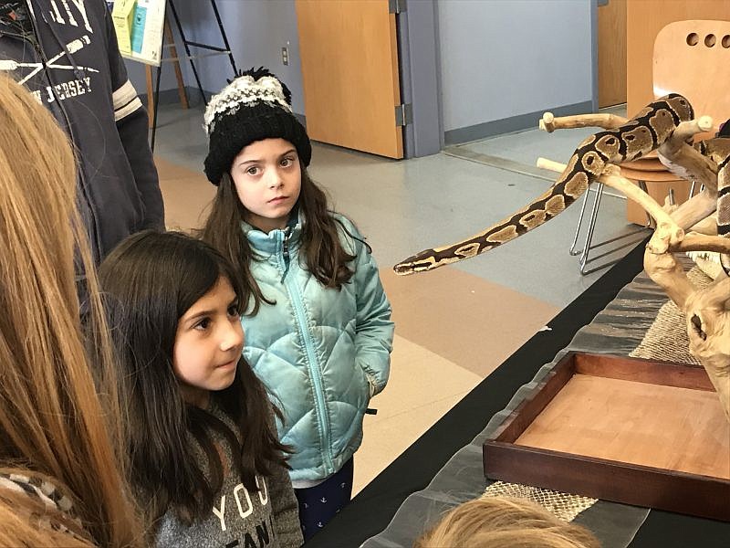 Family Friendly Nature Fun Day on Feb. 15 - OCNJ Daily