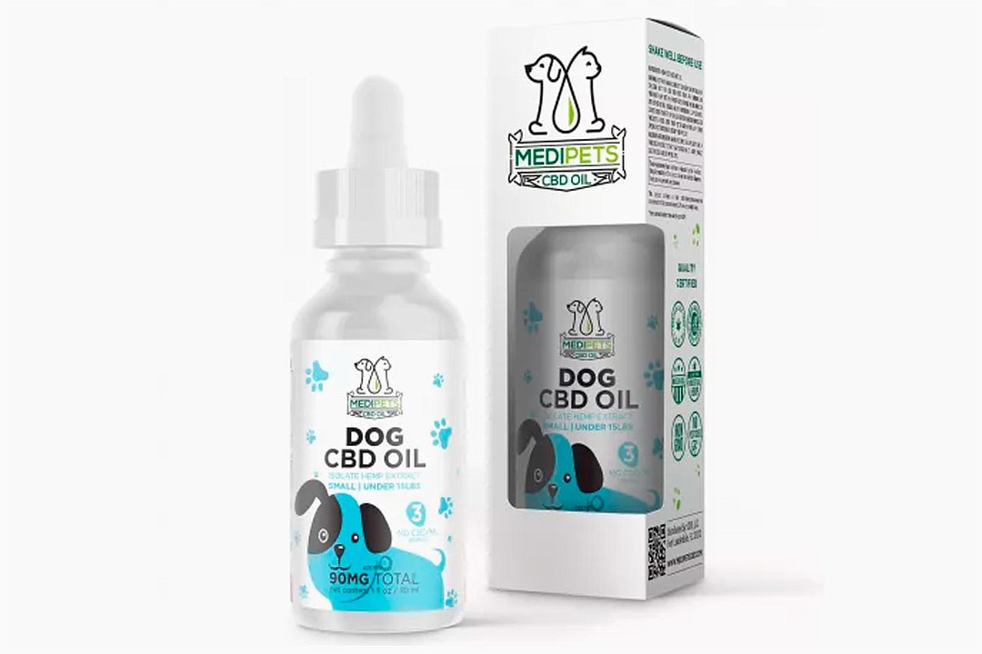 Best CBD Oil for Dogs - Everything You Need To Know - OCNJ Daily