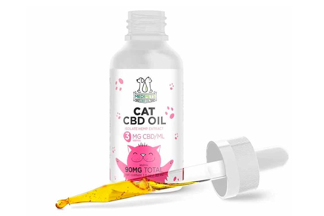 The 4 Best CBD Oil for Cats in 2024 - OCNJ Daily