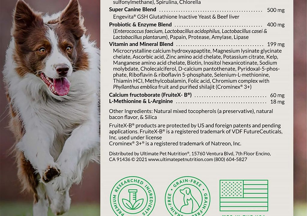 UPN Nutra Thrive Reviews: Will This 40-in-1 Canine Nutritional ...