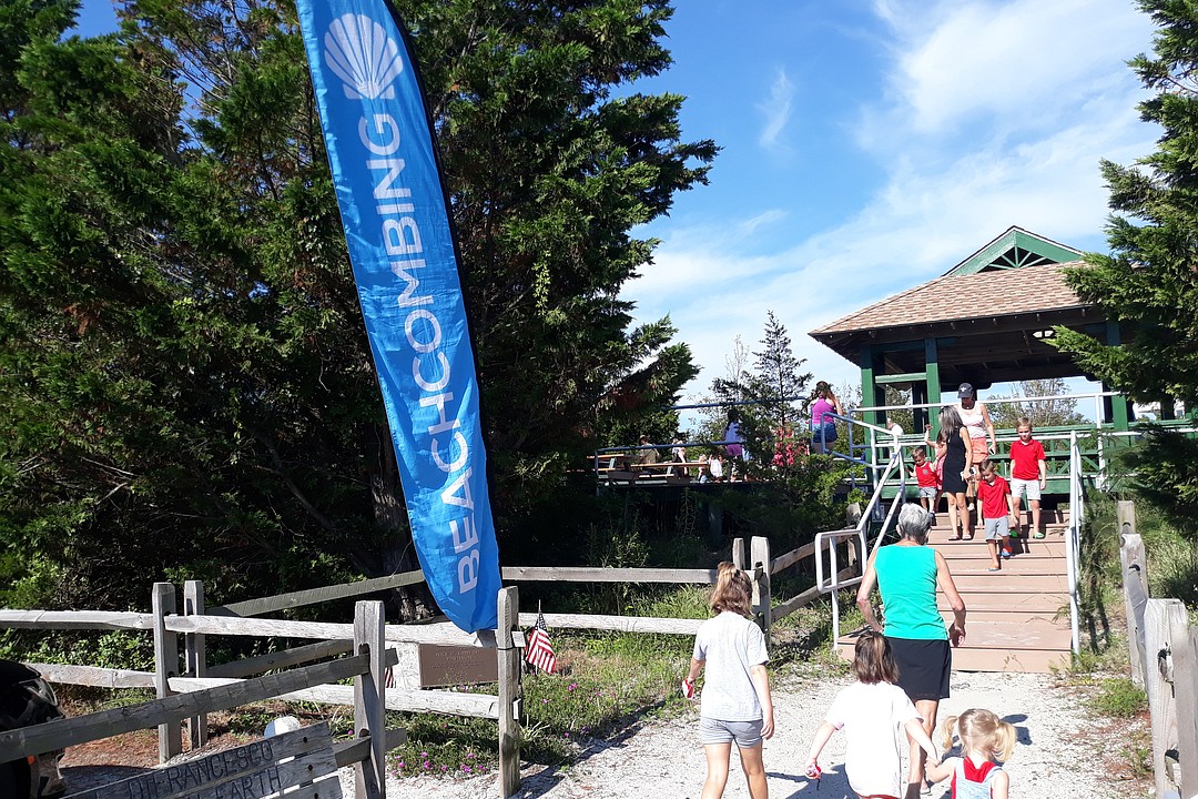 Beachcombing Tours Wrap Up a Summer of Fun and Education - SeaIsle News