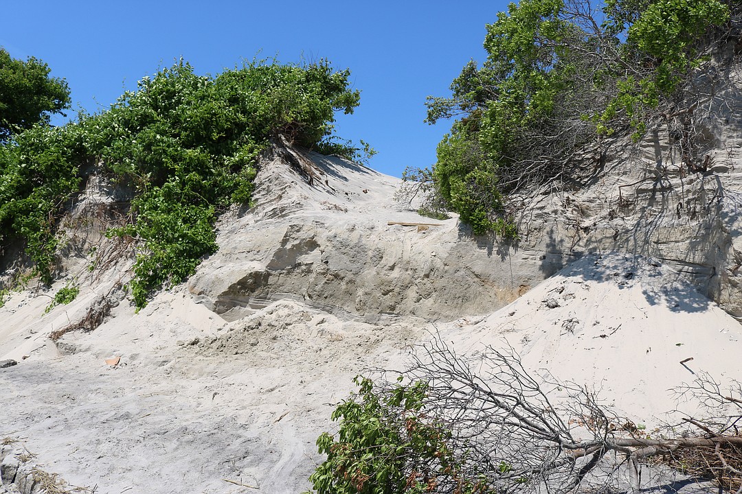 Collapsed Dune Forces Beach Closure - SeaIsle News