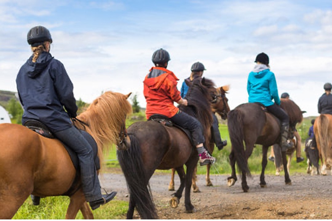 Alpine Academy Utah Reviews the Benefits of Equine Therapy for At-Risk ...