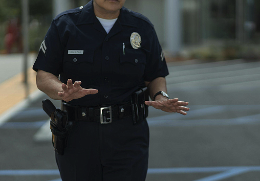 Premier Protection Services: Experienced Leadership from Military and ...