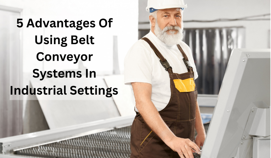 5 Advantages Of Using Belt Conveyor Systems In Industrial Settings ...
