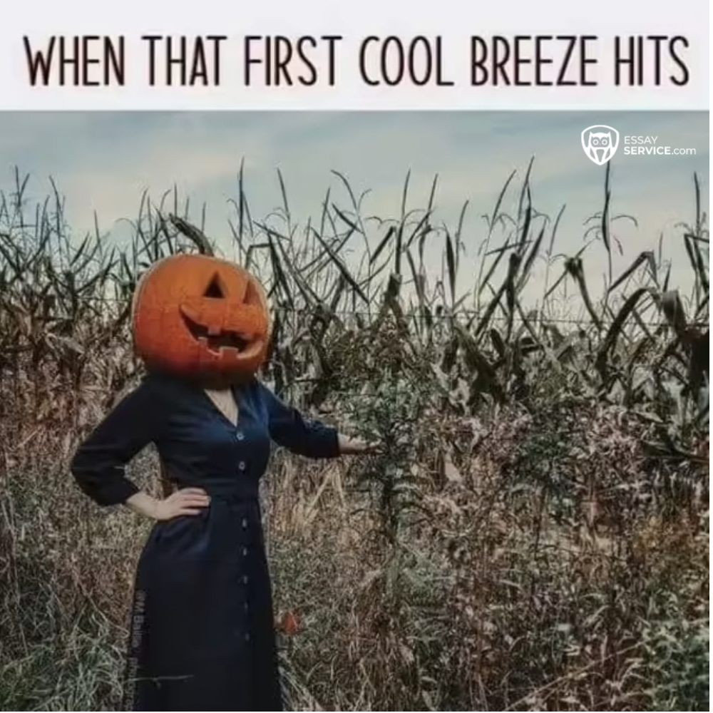 Funny Halloween Memes Every Student Will Love by EssayService - Breaking AC