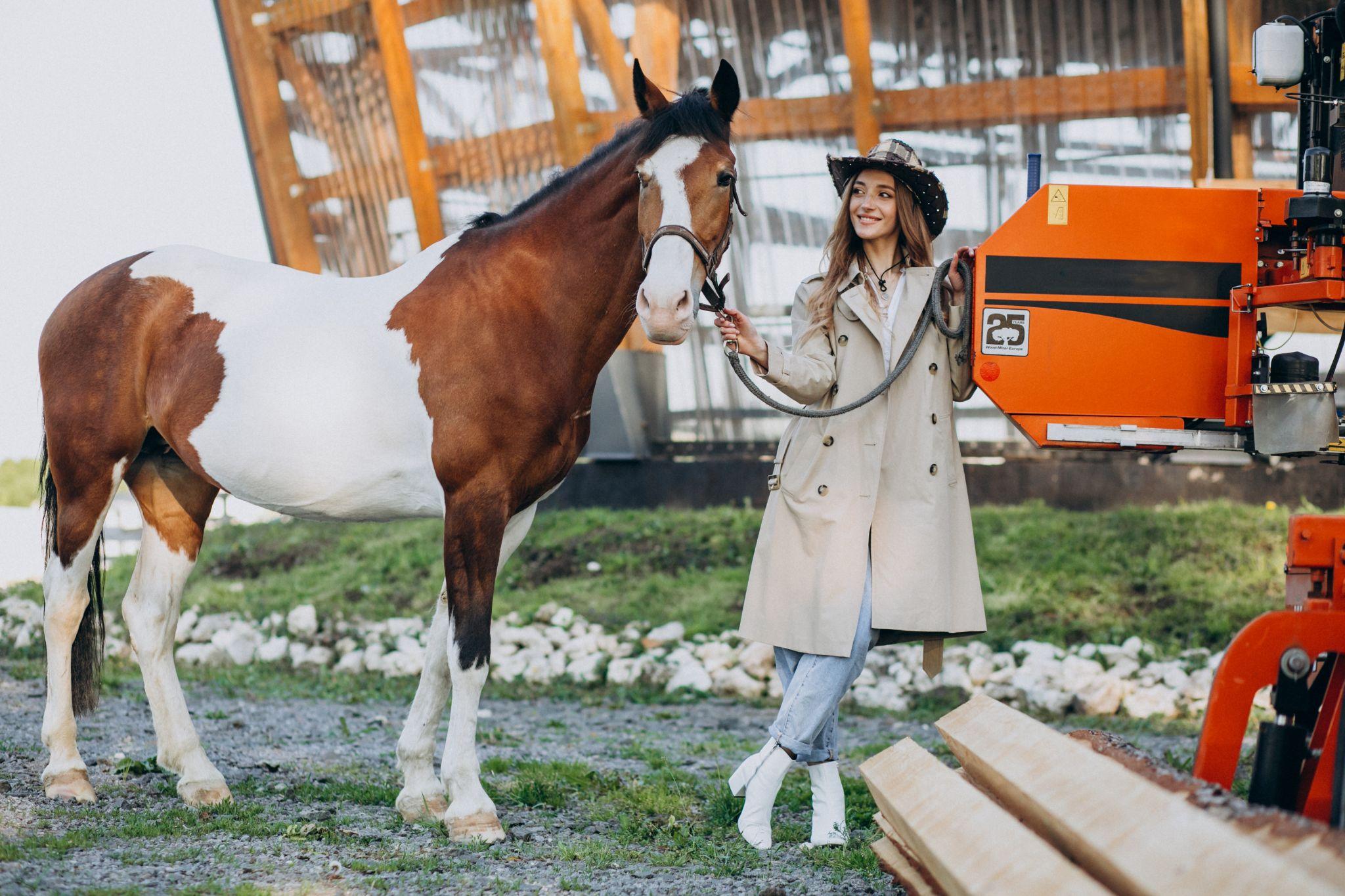 How Custom Horse Stalls Improve Stable Safety and Daily Handling ...
