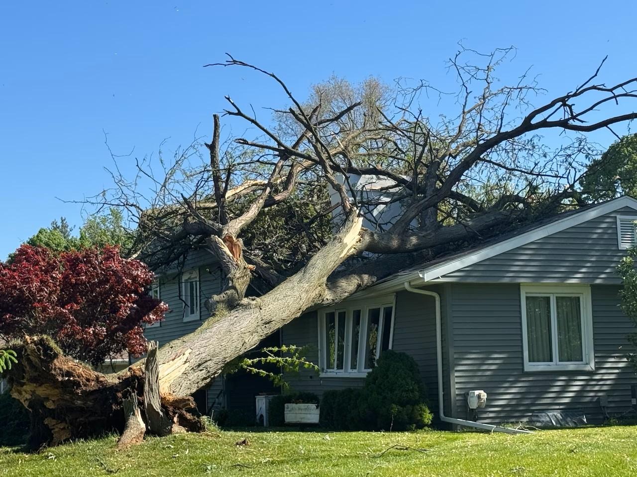 What Homeowners Need To Do After Severe Windstorms Damage Their Roofs ...