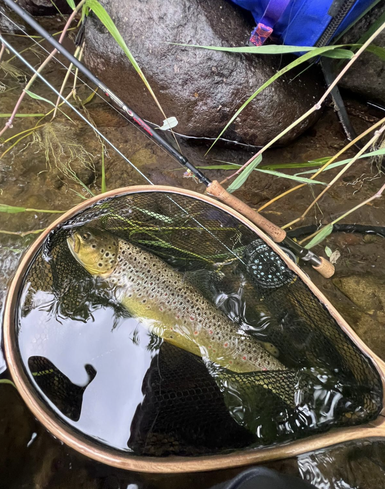 Why Every UK Angler Needs a Folding Landing Net with Their Fishing Rods ...